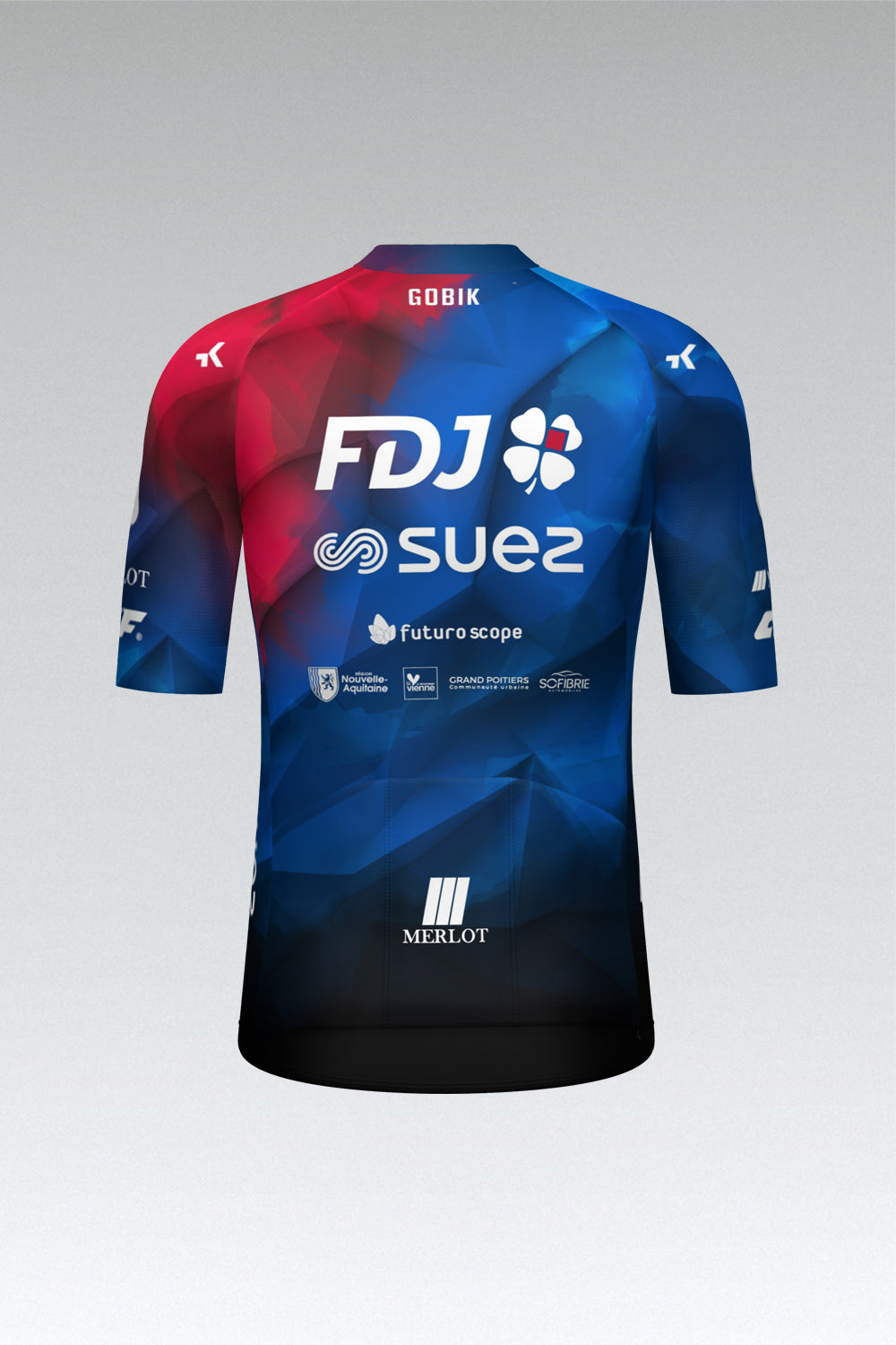 Collection · FDJ Suez · Official Cycling Kit – Gobik